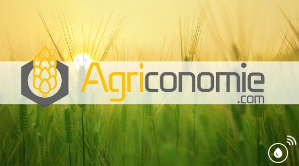 En vente sur le site Agriconomie.com. Découvrez nos capteurs ! - Fuel it